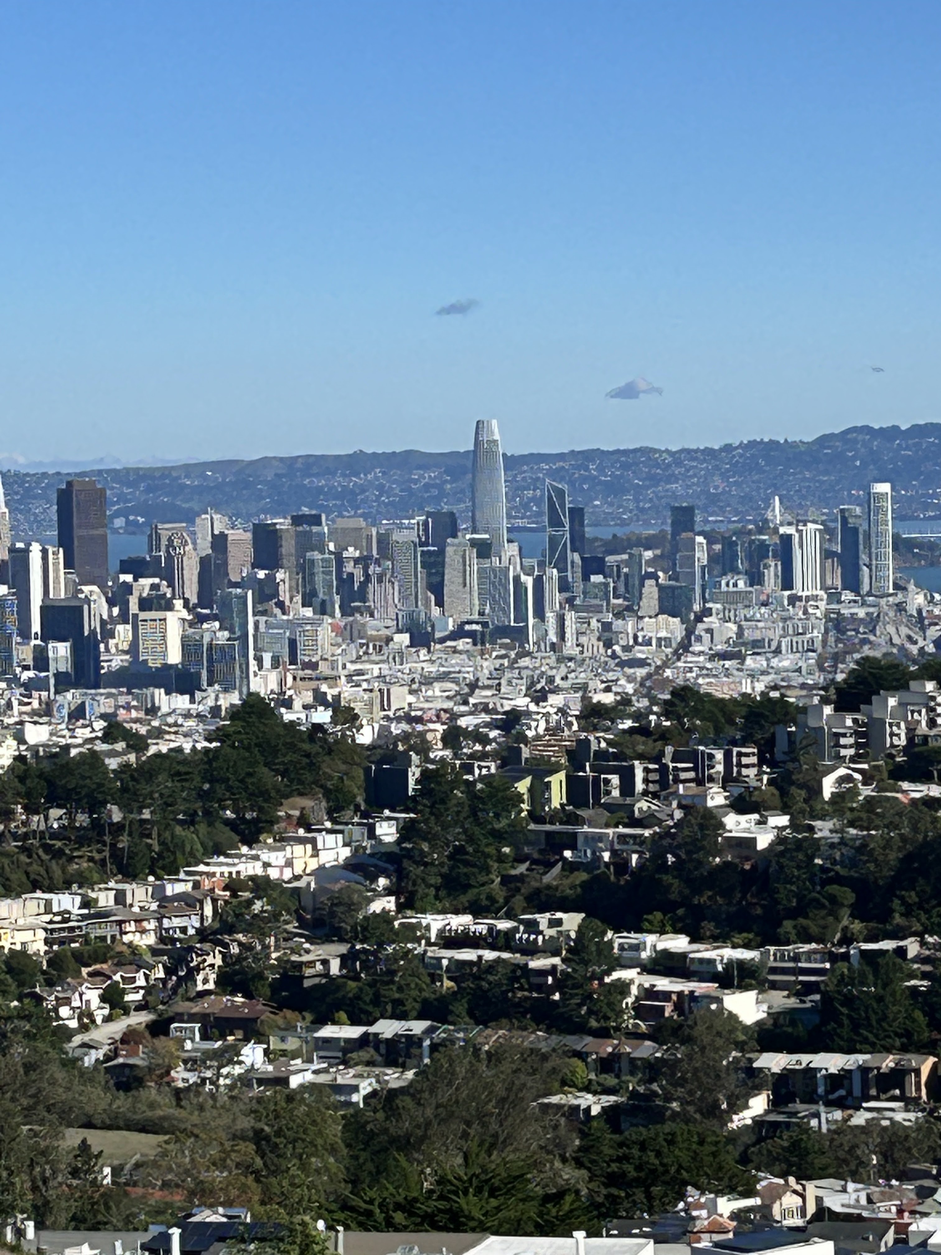 Mount Davidson Hike – seniyegroff